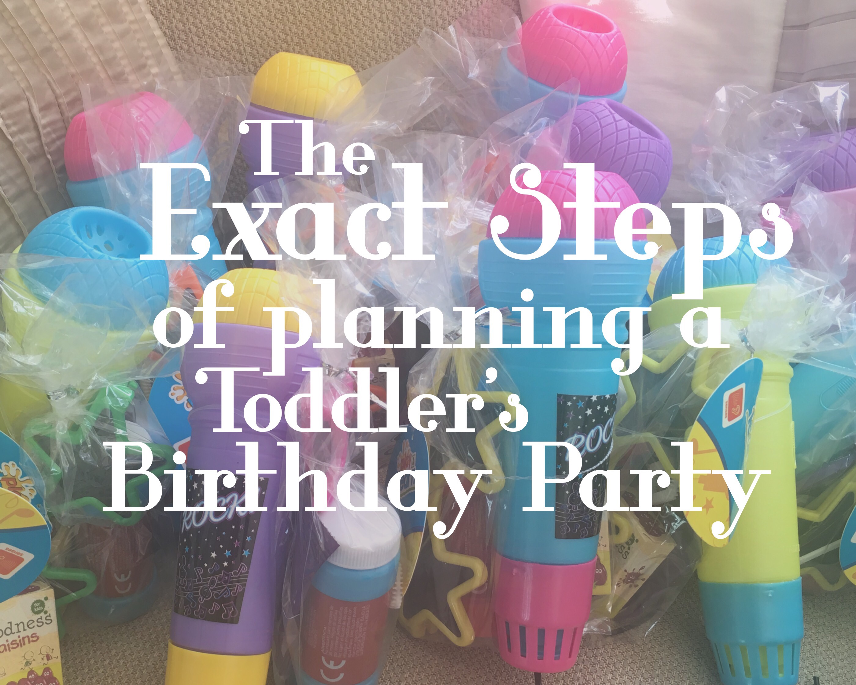 The Exact Steps of Planning a Toddler’s Birthday Party – All Things Spliced
