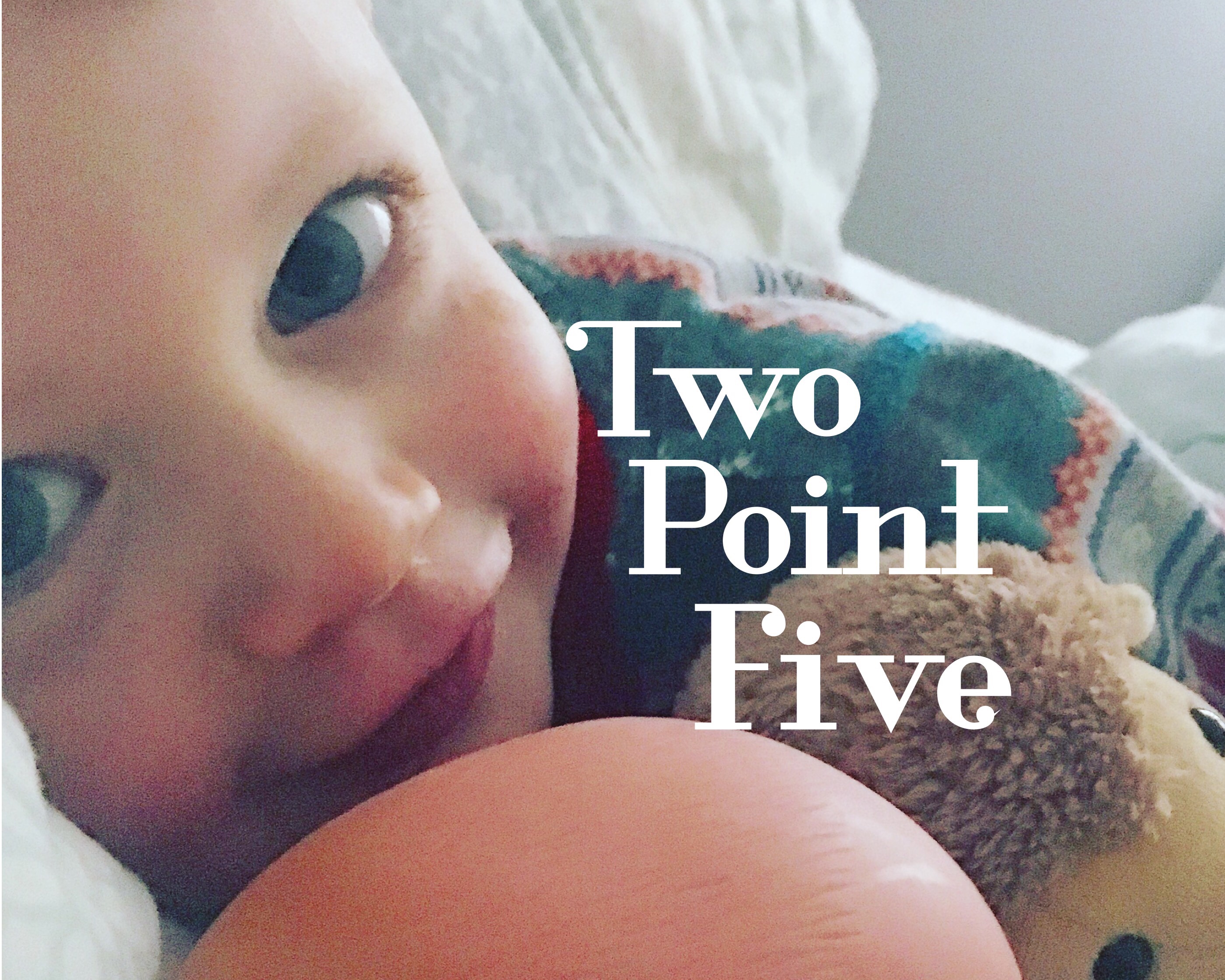 Two Point Five – All Things Spliced